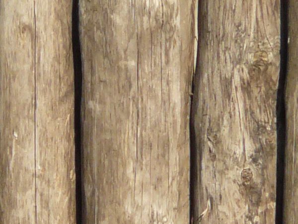 rough grey log texture 0012 - Texturelib